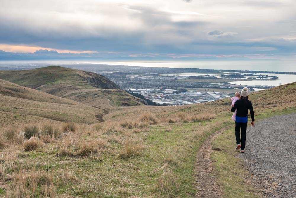 Rapaki Track Walk with Kids: Best Views of Christchurch, Banks Peninsula