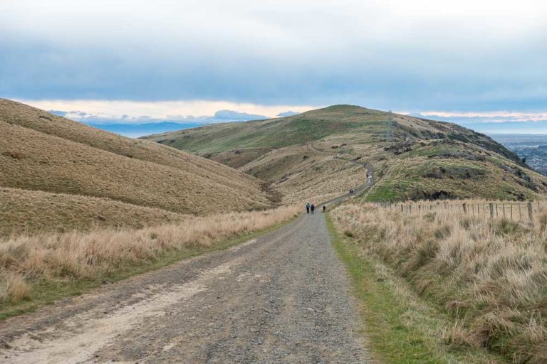 Rapaki Track Walk with Kids: Best Views of Christchurch, Banks Peninsula