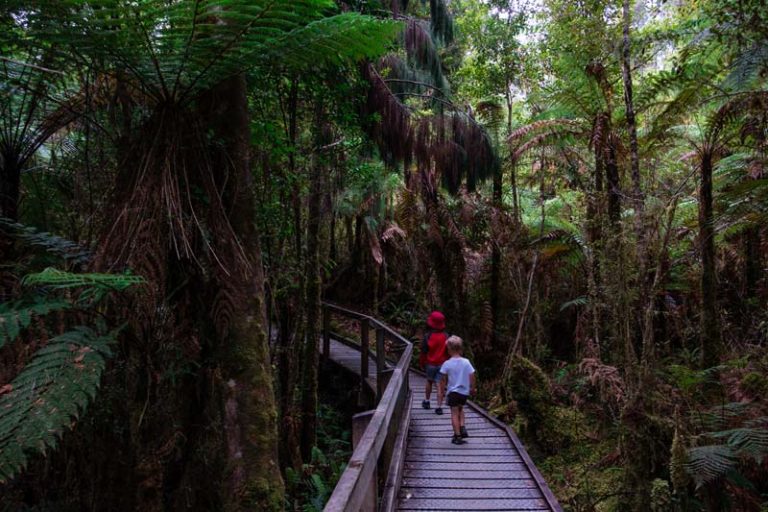 The Magic of the Reflection: Lake Matheson Walk, West Coast, NZ