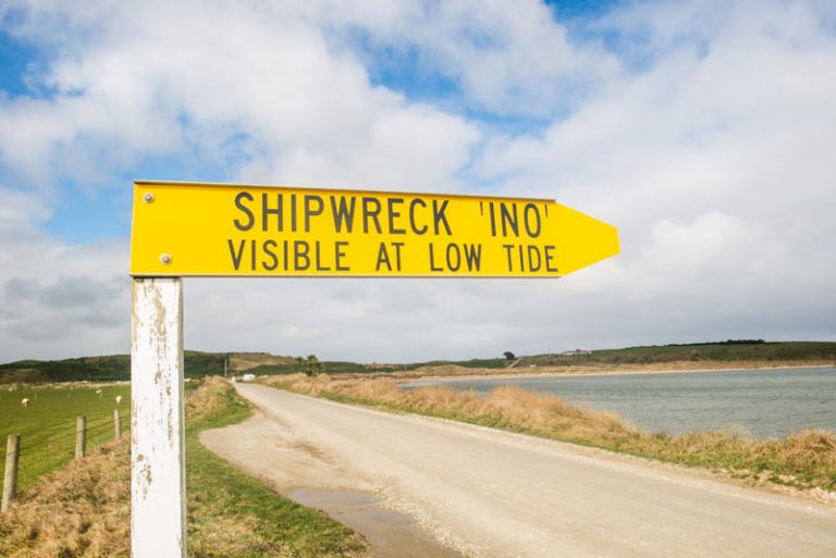 17 Breathtaking Things to do in the Catlins, New Zealand